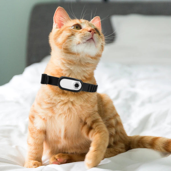 Wireless Collar Camera – Gremlin Gadgets